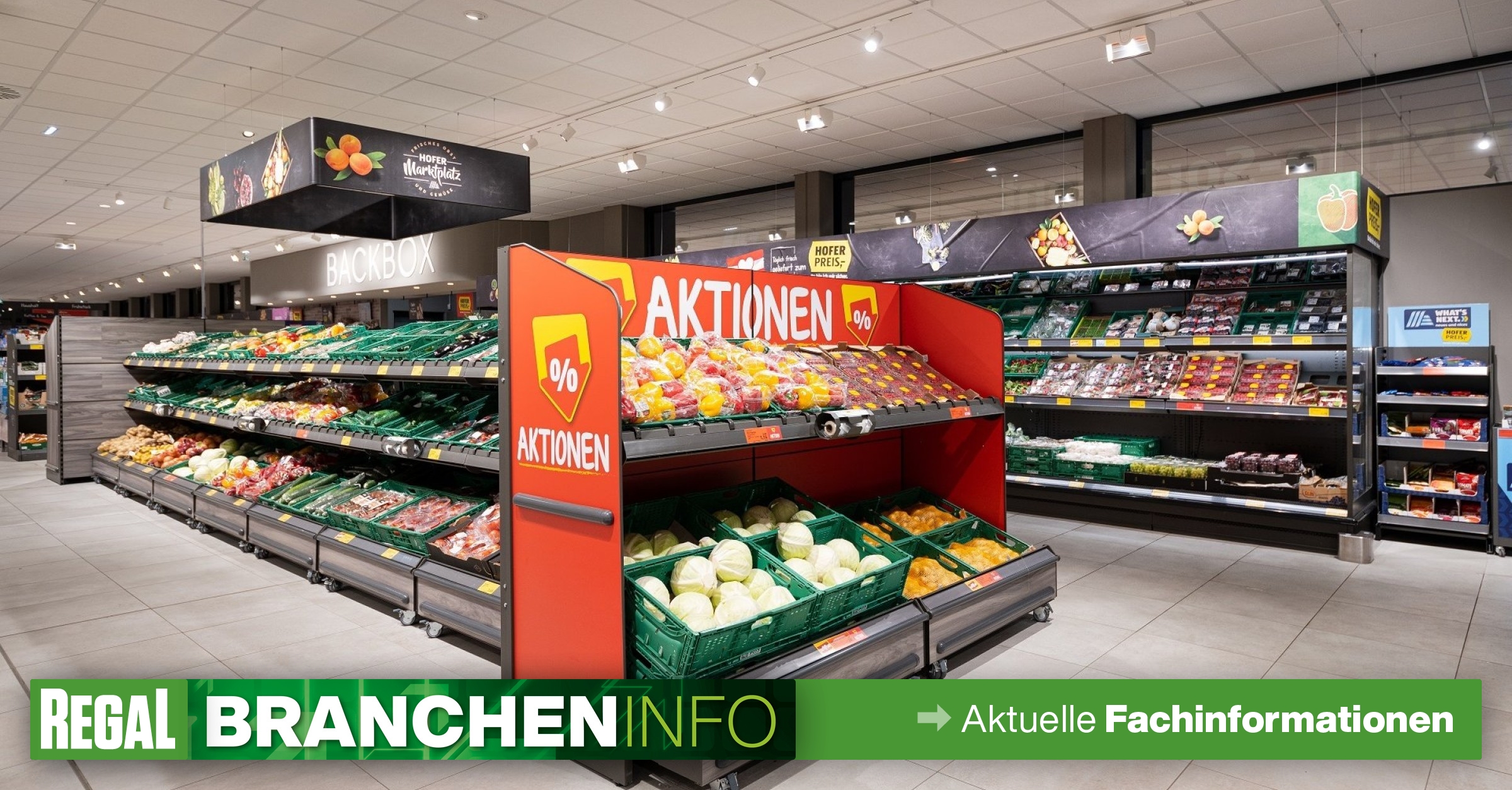 Hofer neu in Enns → REGAL